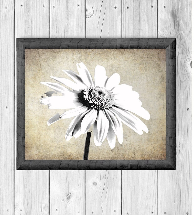 Daisy Pencil Drawing Arte Digital Dibujo en margarita - Etsy México