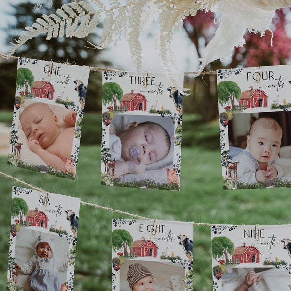 12 Month Banner - Shop Online - Etsy