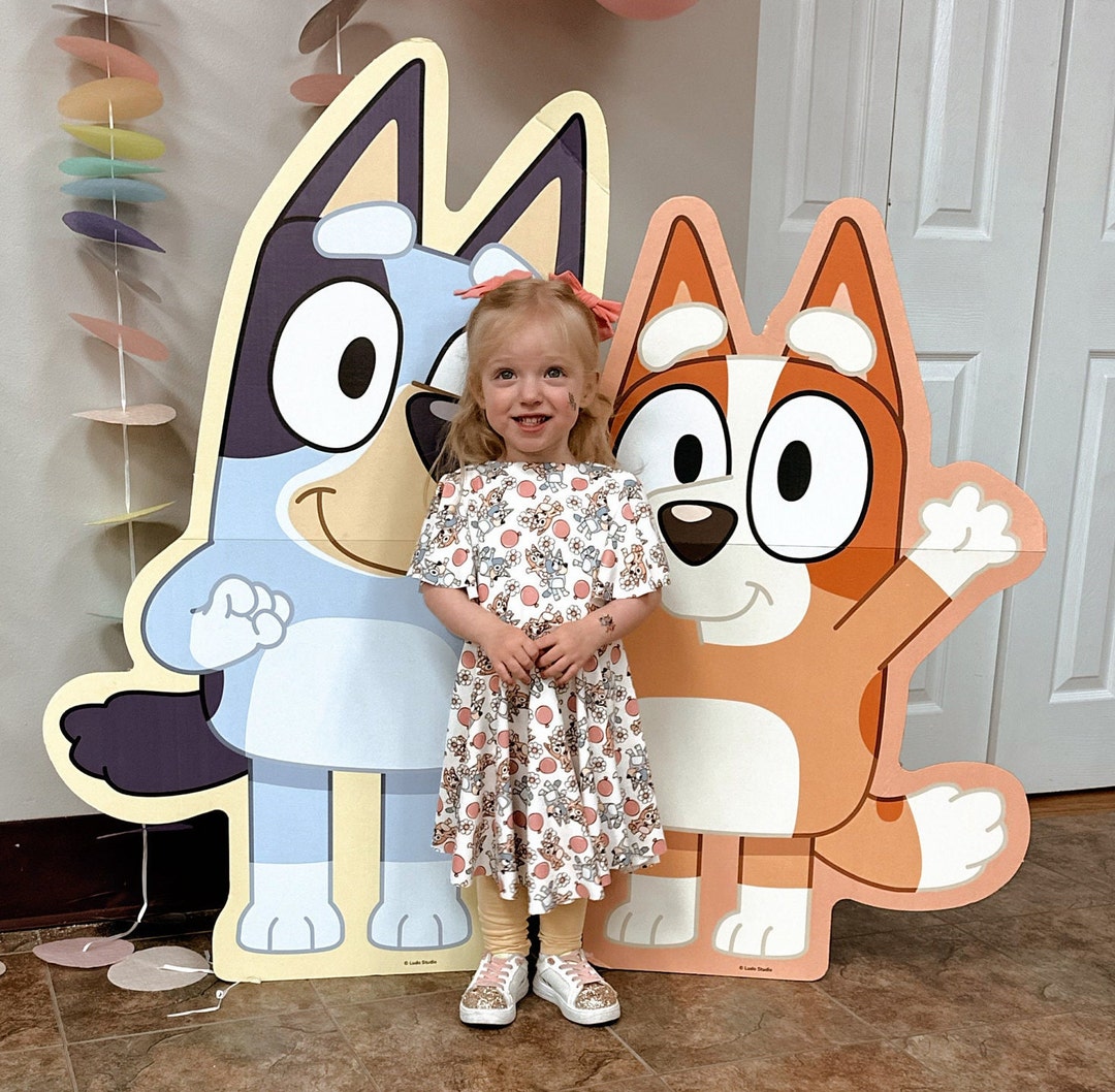 Floral Balloons Bluey Twirl Dress/ Bday Dress - Etsy