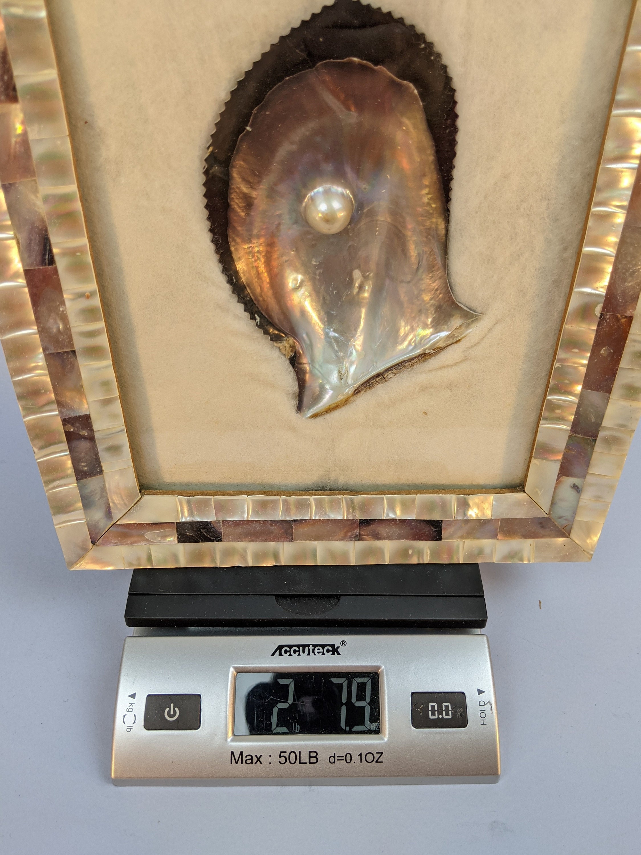 Old Vintage Thai Thailand Natural Pearlized Shell W/ Mabe - Etsy