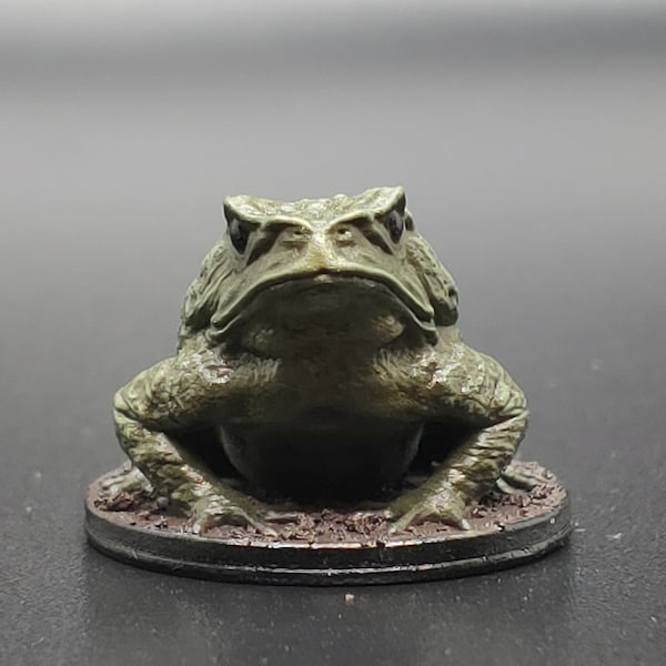 Giant Toad D and D - Etsy