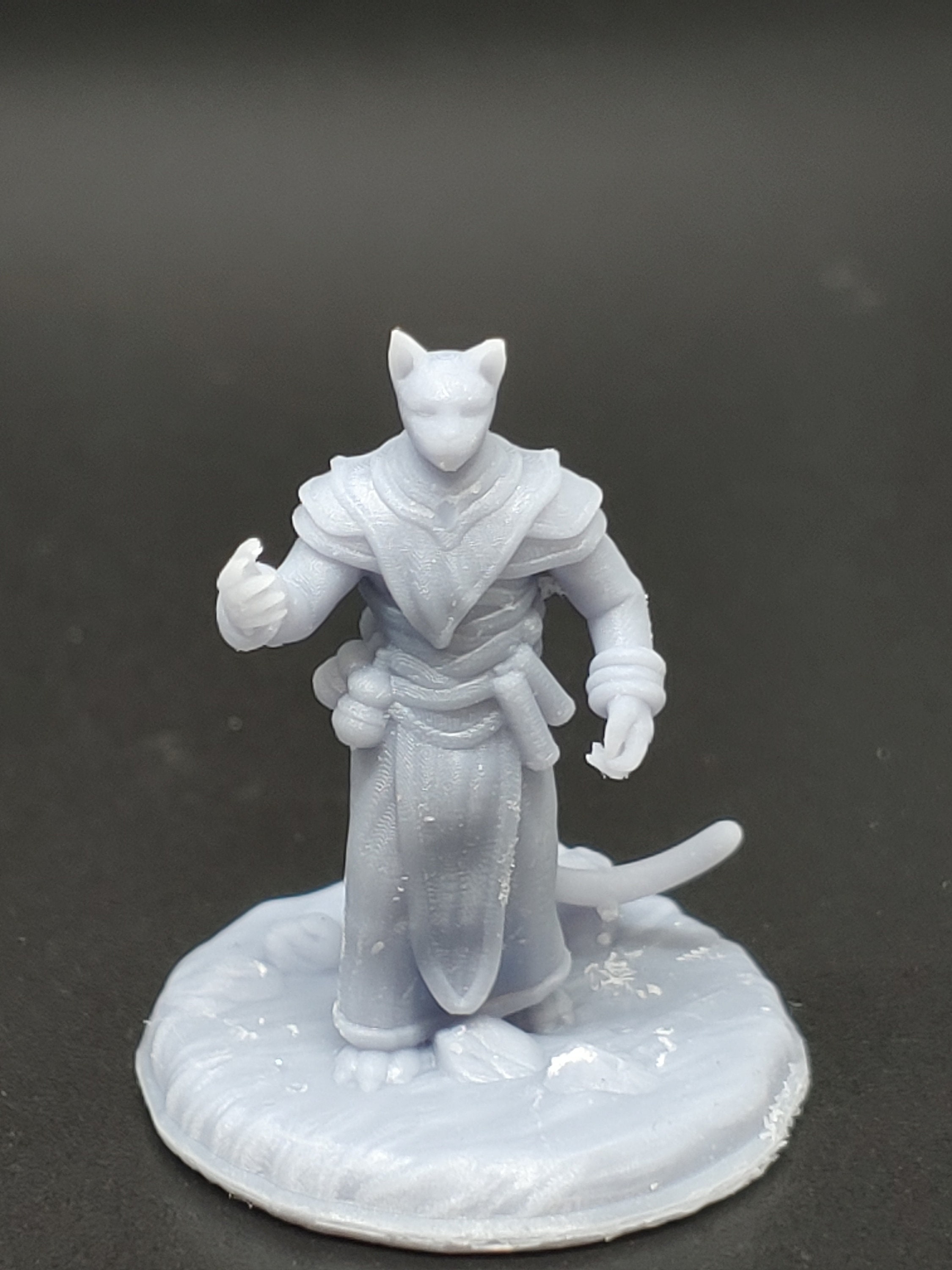Resin Printed Catfolk/tabaxi Cleric M3DM Women of | Etsy