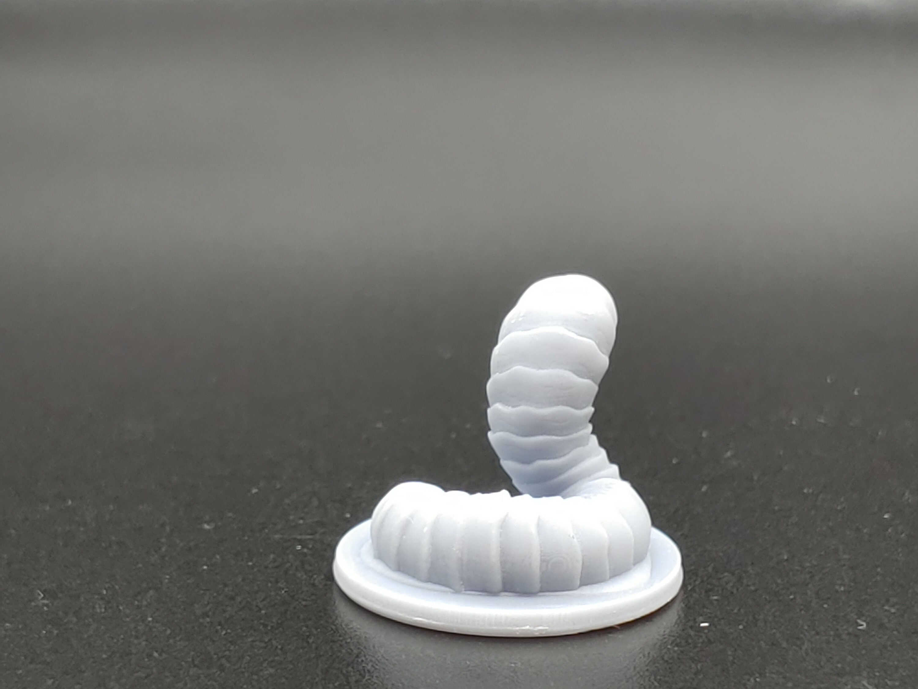 Resin 3d Printed Giant Leech/worm/grub - Etsy