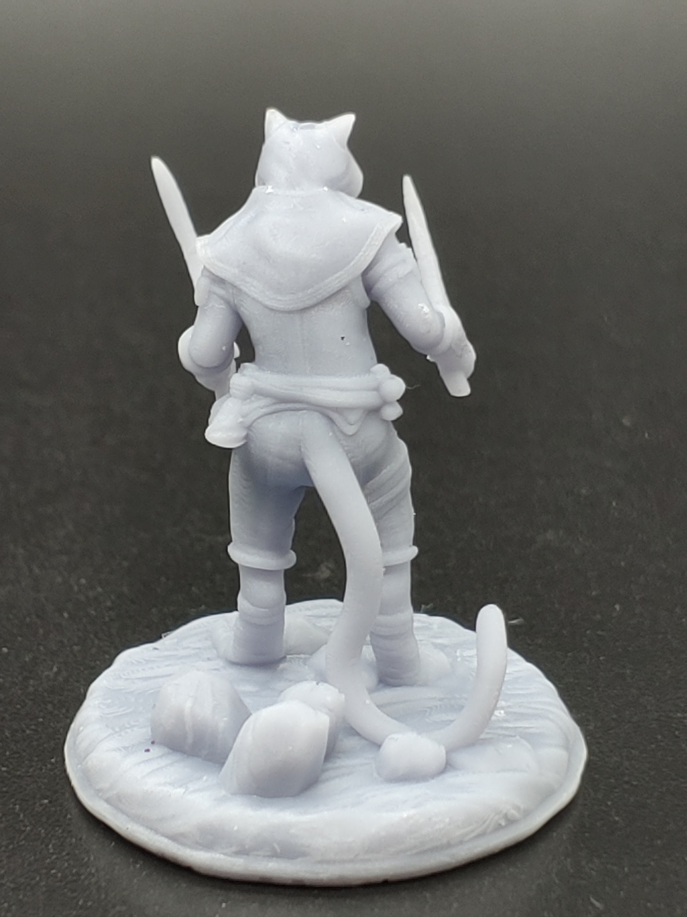 Resin Printed Tabaxi/catfolk Rogue - M3DM - Women of Tabletop - Etsy