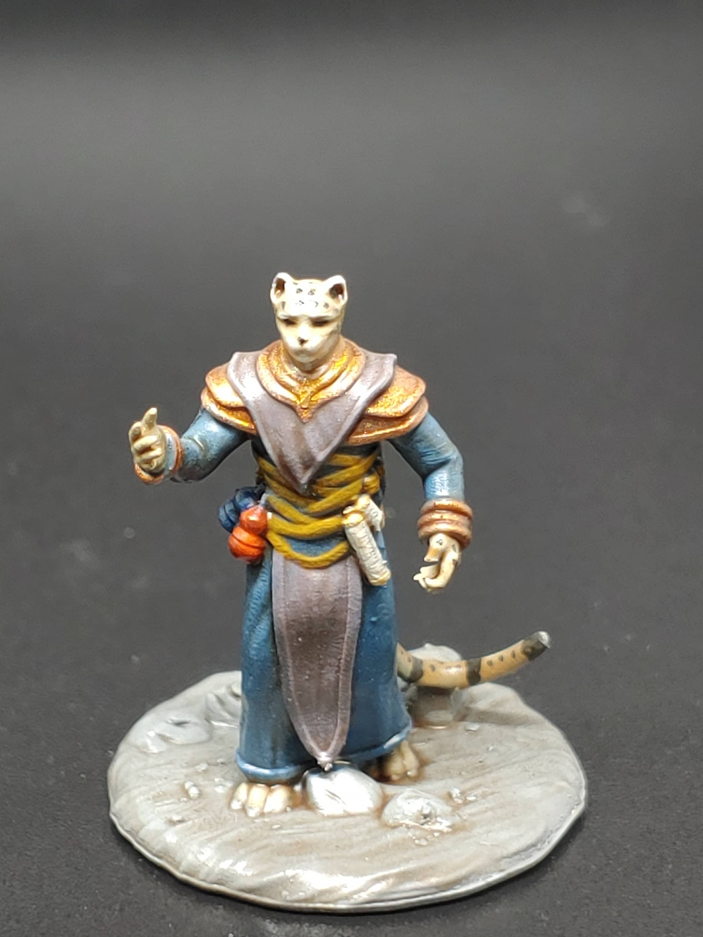 Resin Printed Catfolk/tabaxi Cleric M3DM Women of | Etsy