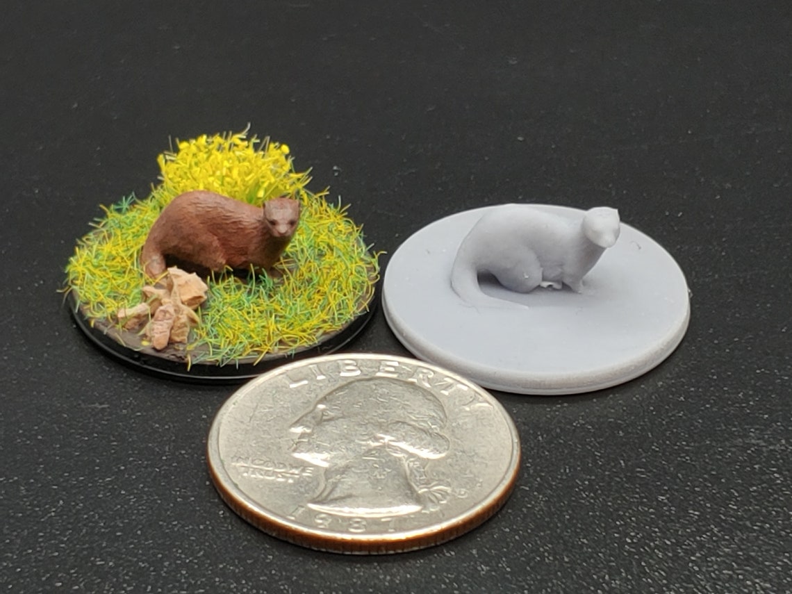 Resin 3d Printed Weasel/otter/ferret - D&d/pathfinder - Pet/familiar ...