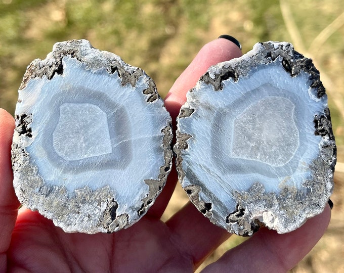 Las Choyas Coconut Geode Pair | Geode Pair With Light Blue Agate Center ...