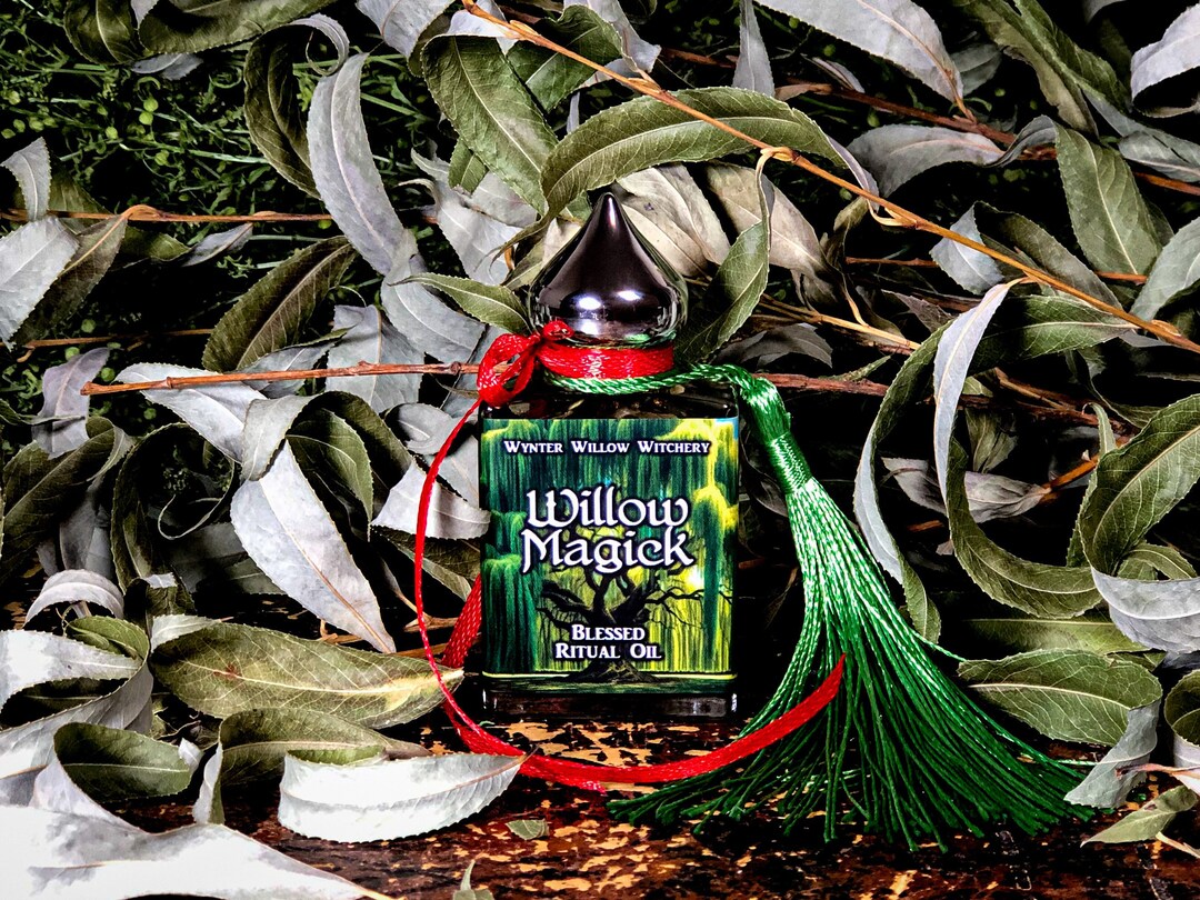 Willow Magick Ritual Oil, Willow Witchcraft, Willow Tree Enchantment ...