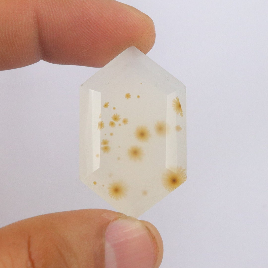 AAA+ Quality Very Rare Natural Montana Agate Hexagon Approx. 37X22X6 MM ...