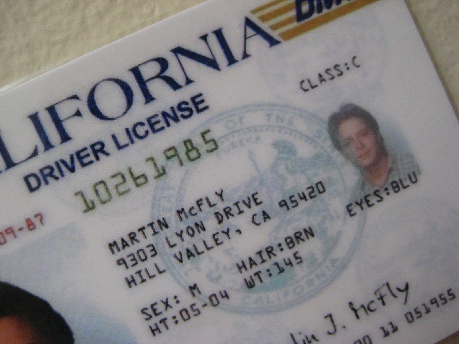 Back to the Future Marty Mcfly Drivers License Prop Cosplay Novelty - Etsy