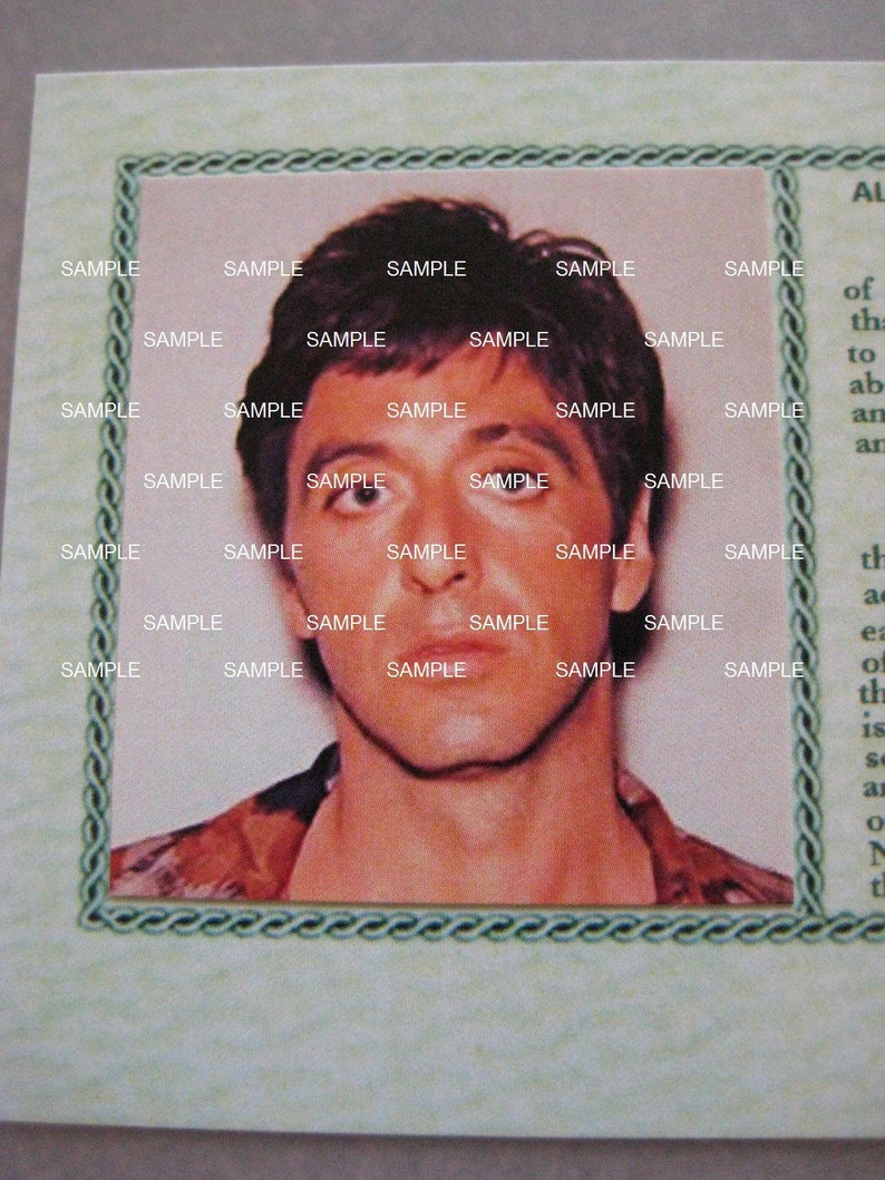 SCARFACE MOVIE Tony Montana Green Card Screen Accurate - Etsy Australia