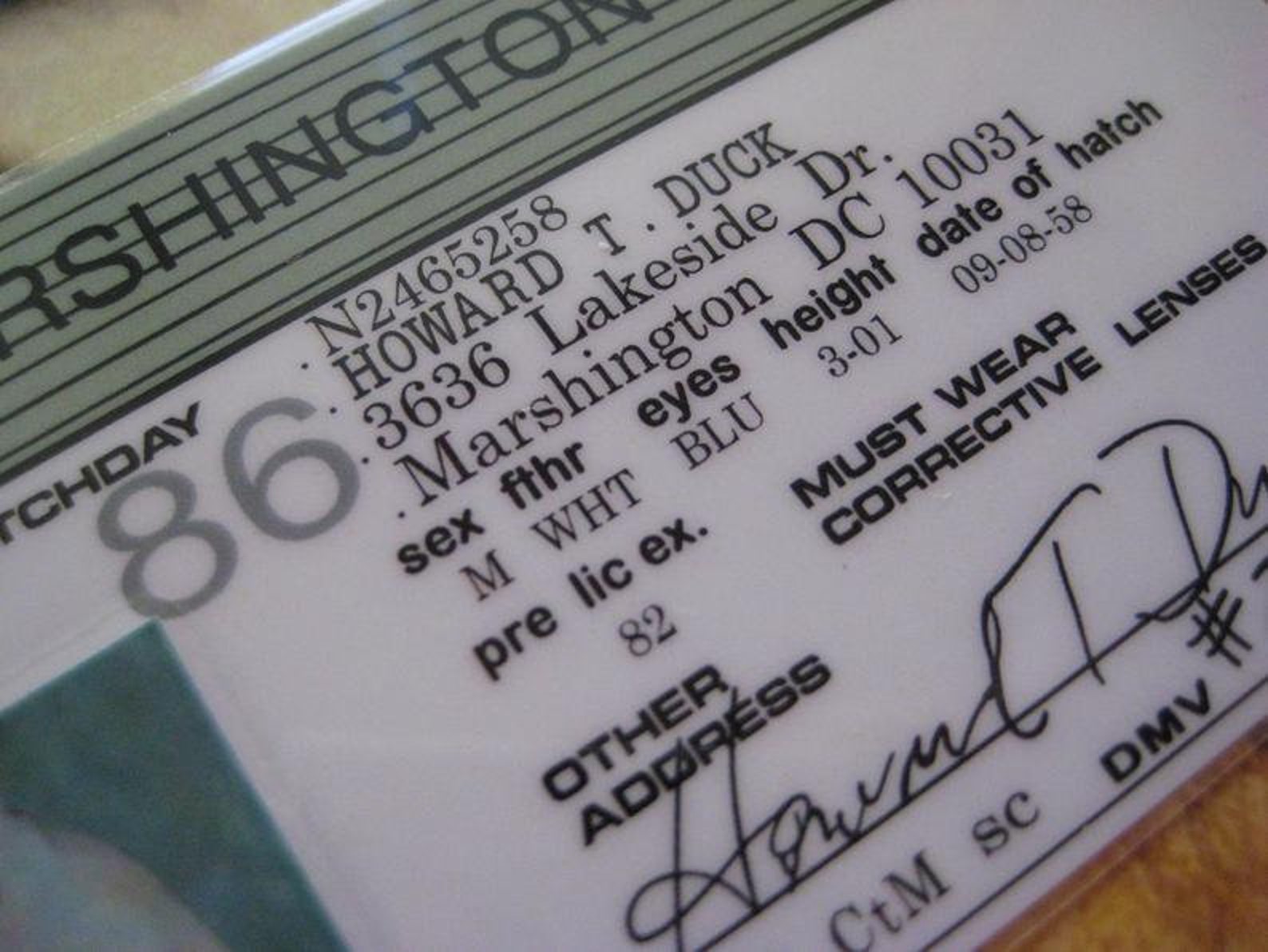 Howard the Duck Movie Driver's License SCREEN ACCURATE - Etsy