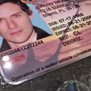 Dexter TV Series Brian Moser Ice Truck Killer Driver's License Cosplay ...