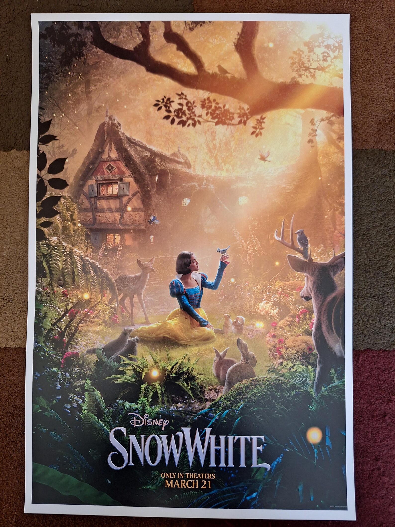 Snow White 11 X 17 Collector's Poster Print B2G1F - Etsy