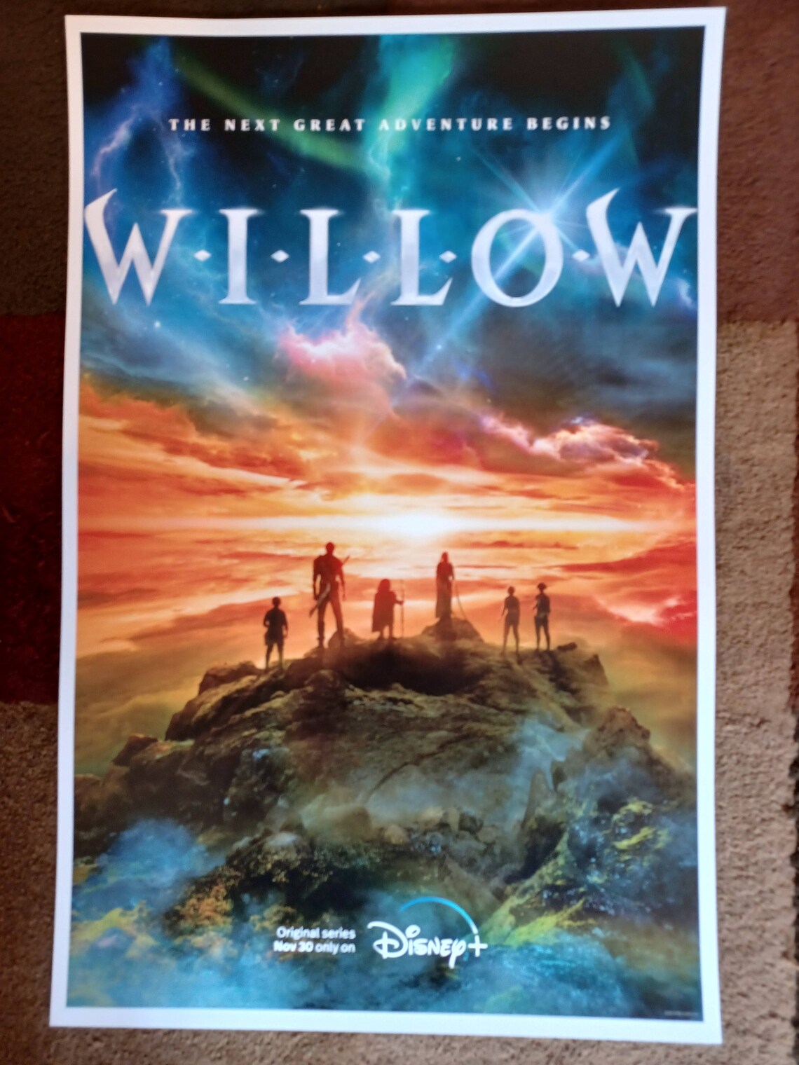 Willow 11 X 17 Collector's Poster Print - Etsy