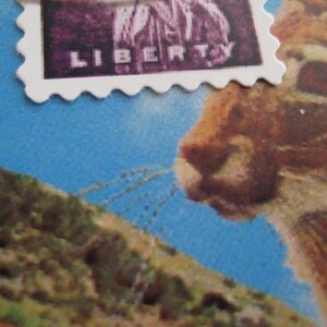 Shawshank Redemption Red's Postcard From Andy Movie Prop - Etsy