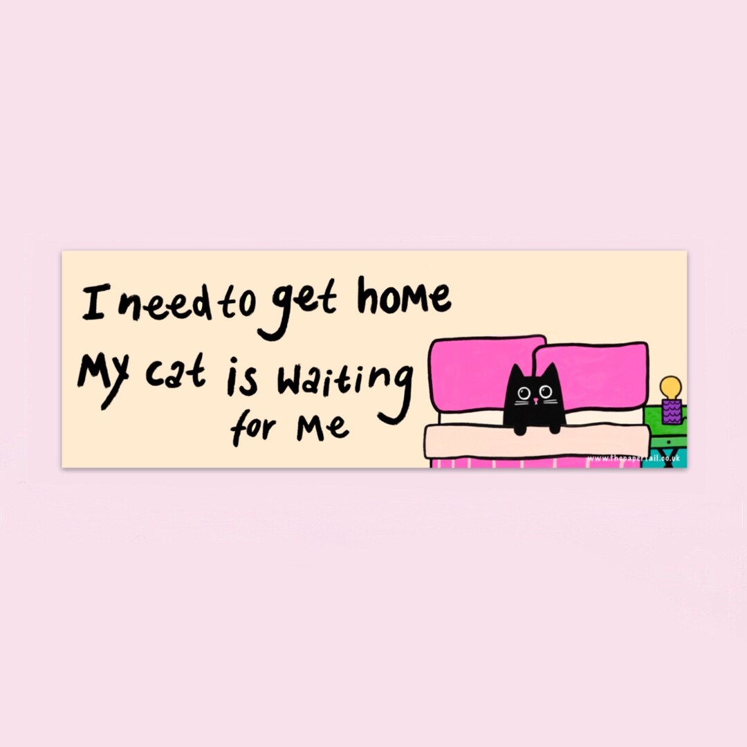 Waiting Cat Car Bumper Sticker - Etsy