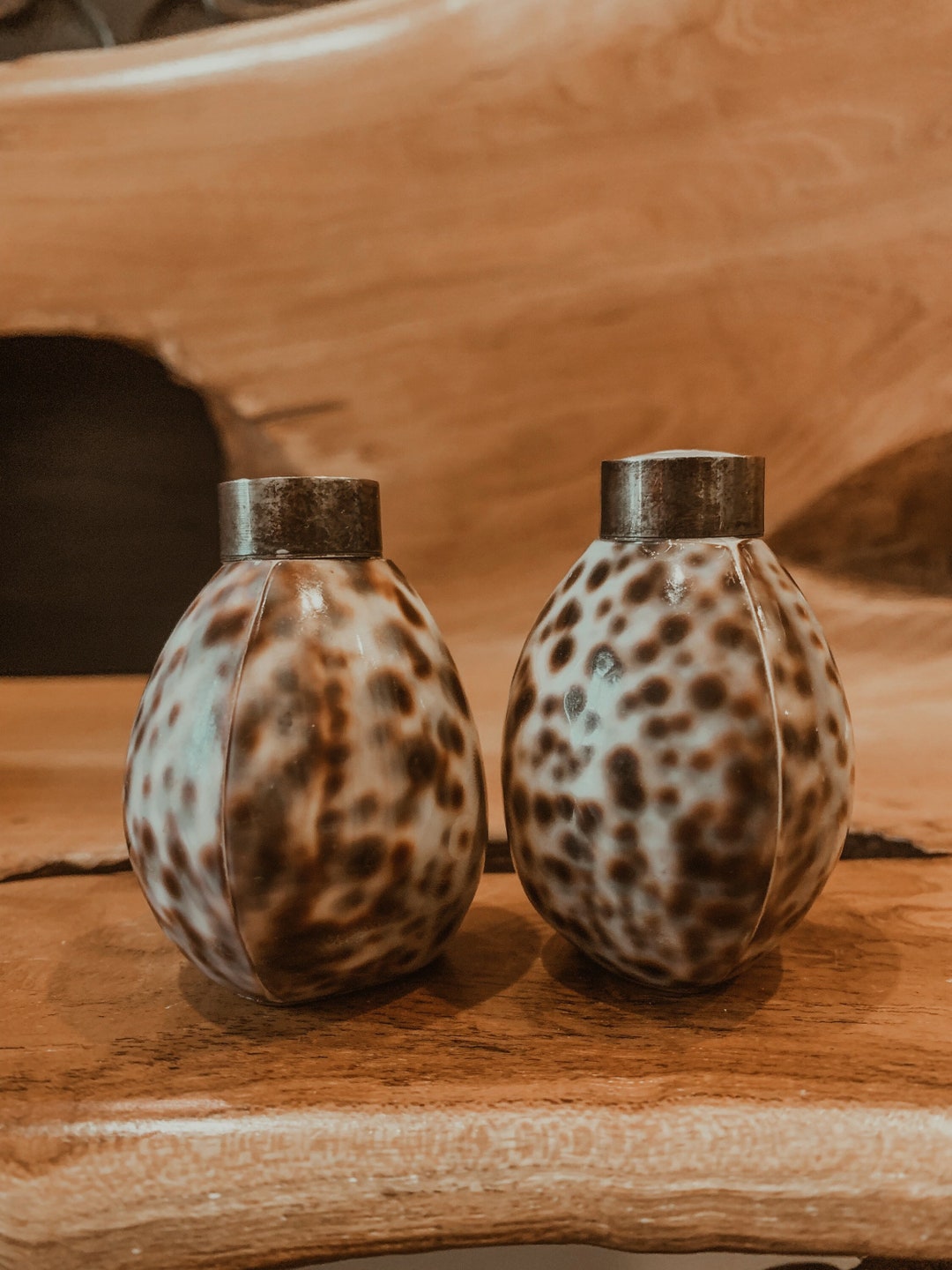 Cowrie Shell,beach Home,salt Shaker,pepper Shaker,kitchen Decor,cowrie ...