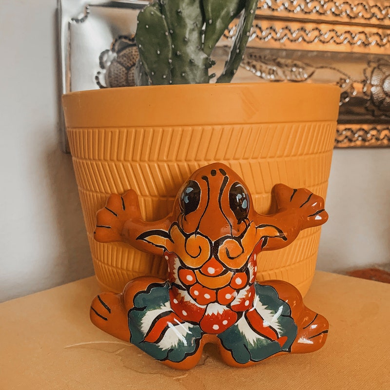Mexican Frog Garden - Etsy
