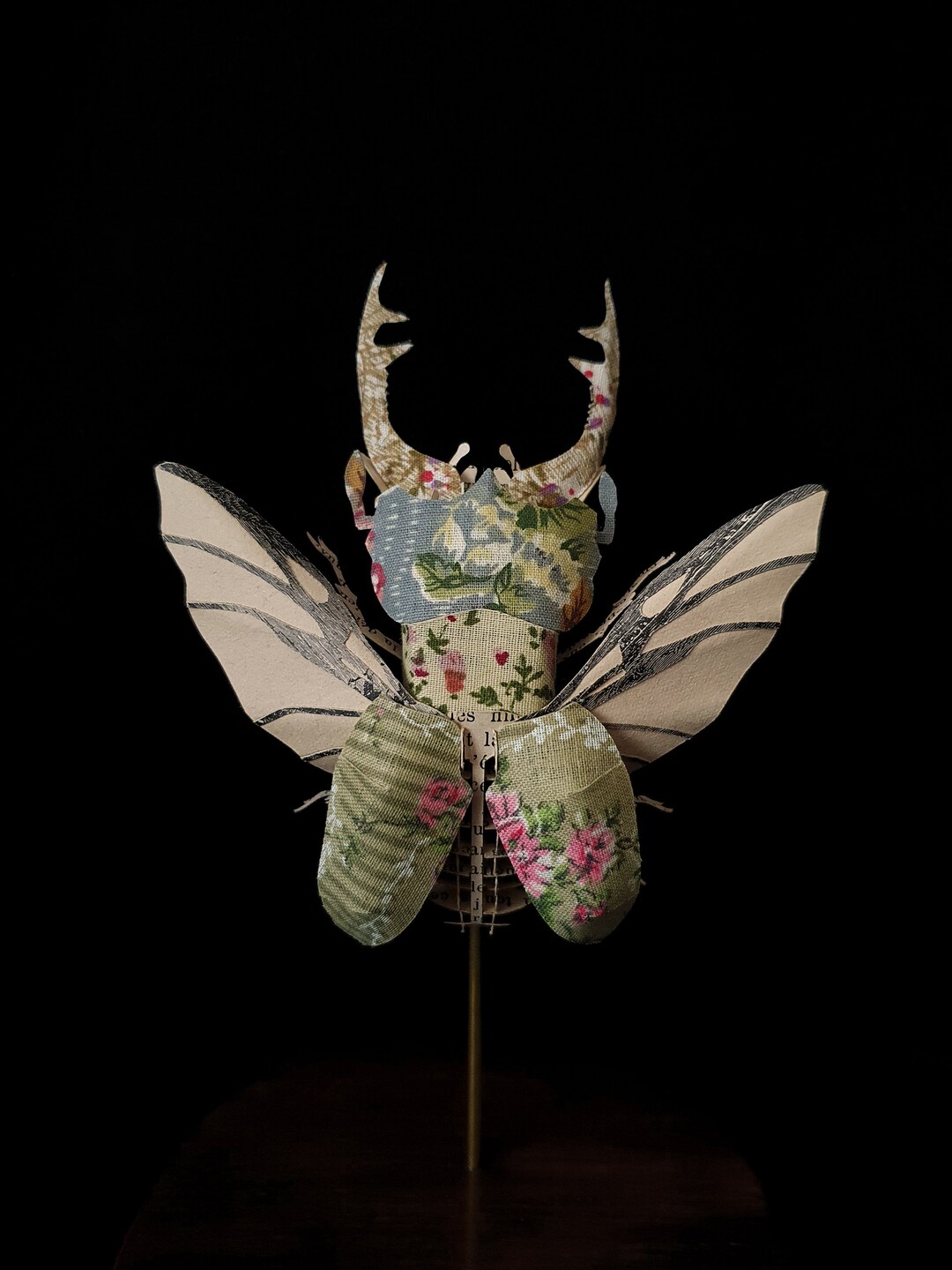 Stag Beetle "sally" - Etsy