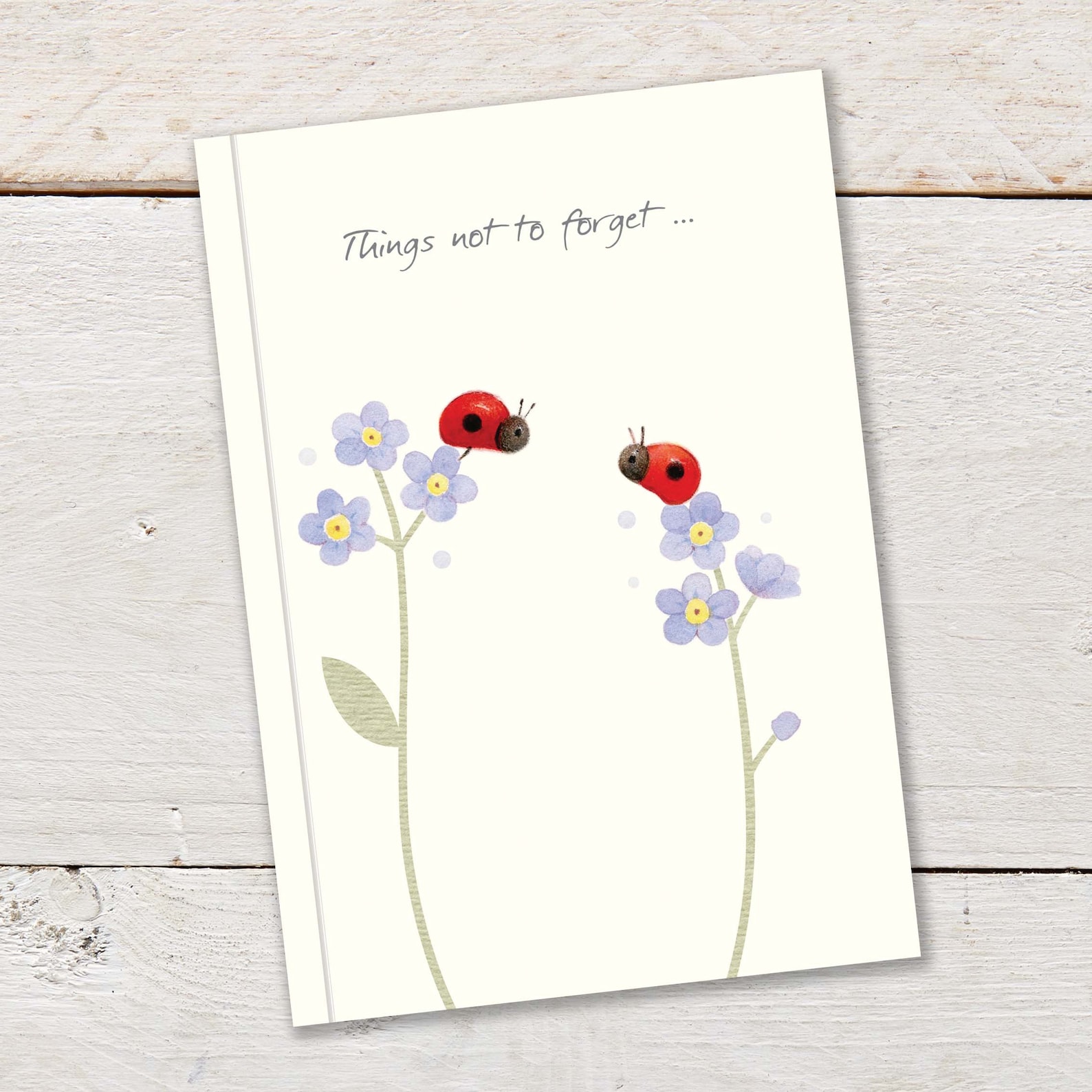 A6 96pp Notebook Featuring Two Cute Ladybirds Sitting on Top of Forget ...
