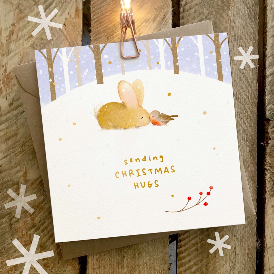 Sending Christmas Hugs Christmas Card, Features a Rabbit and a Robin ...