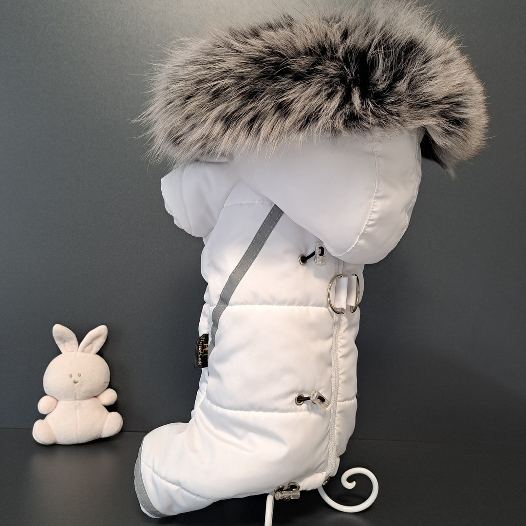 Reflective Dog Snowsuit: Custom Winter Jumpsuit With Fur Hood - Etsy