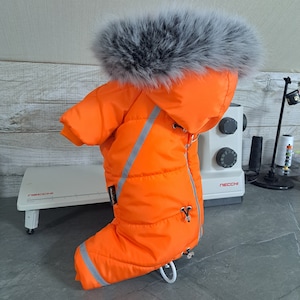 Dog Winter Clothes - Bright Overall - Snowsuit - Dog Full Body Suit ...