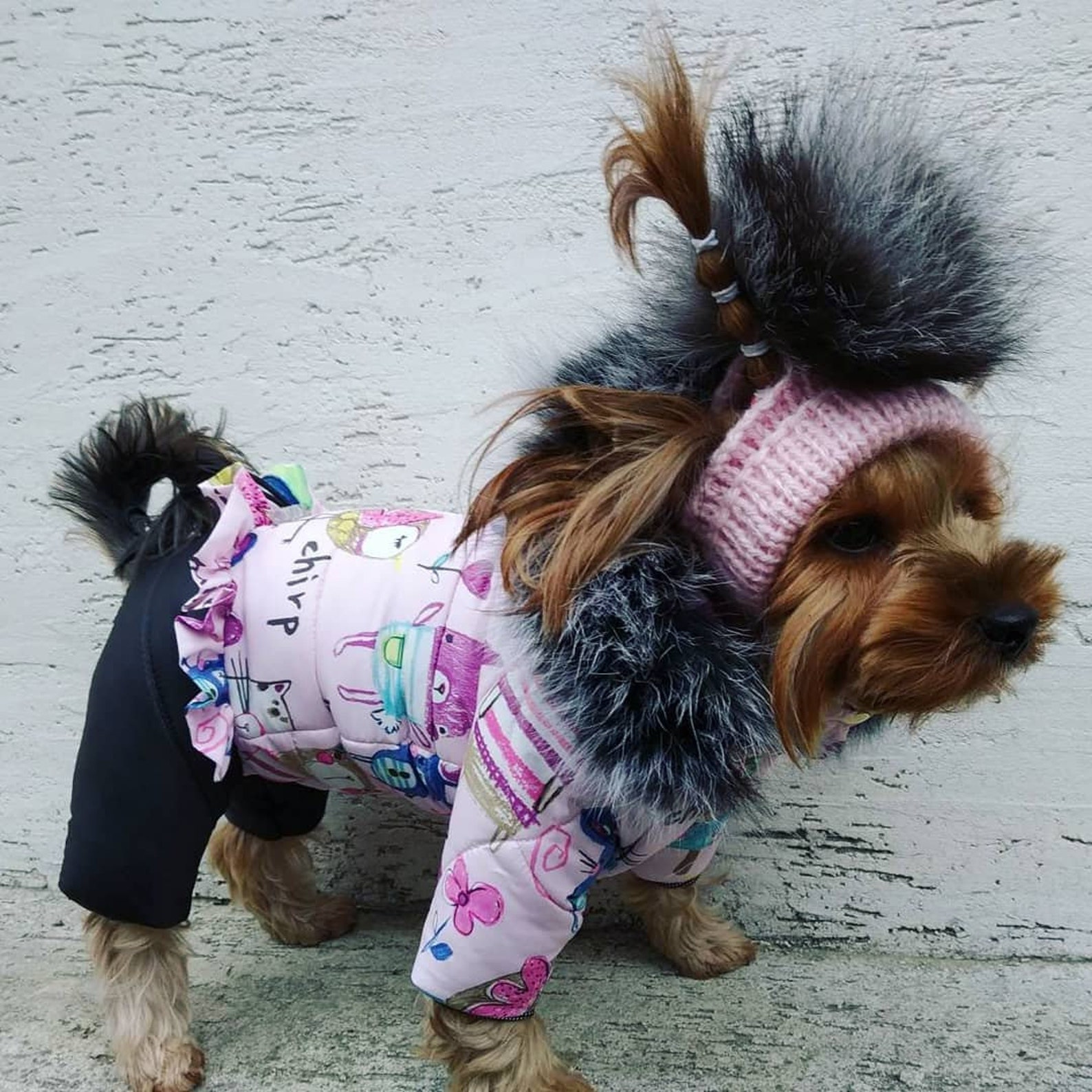 Dog Winter Clothes - Overall - Snowsuit - Dog Full Body Suit - Custom ...