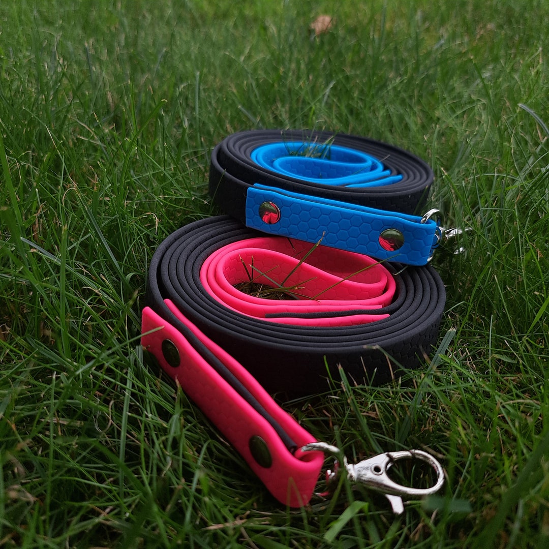 Waterproof Custom Dog Leash: Unparalleled Quality and Personalized ...