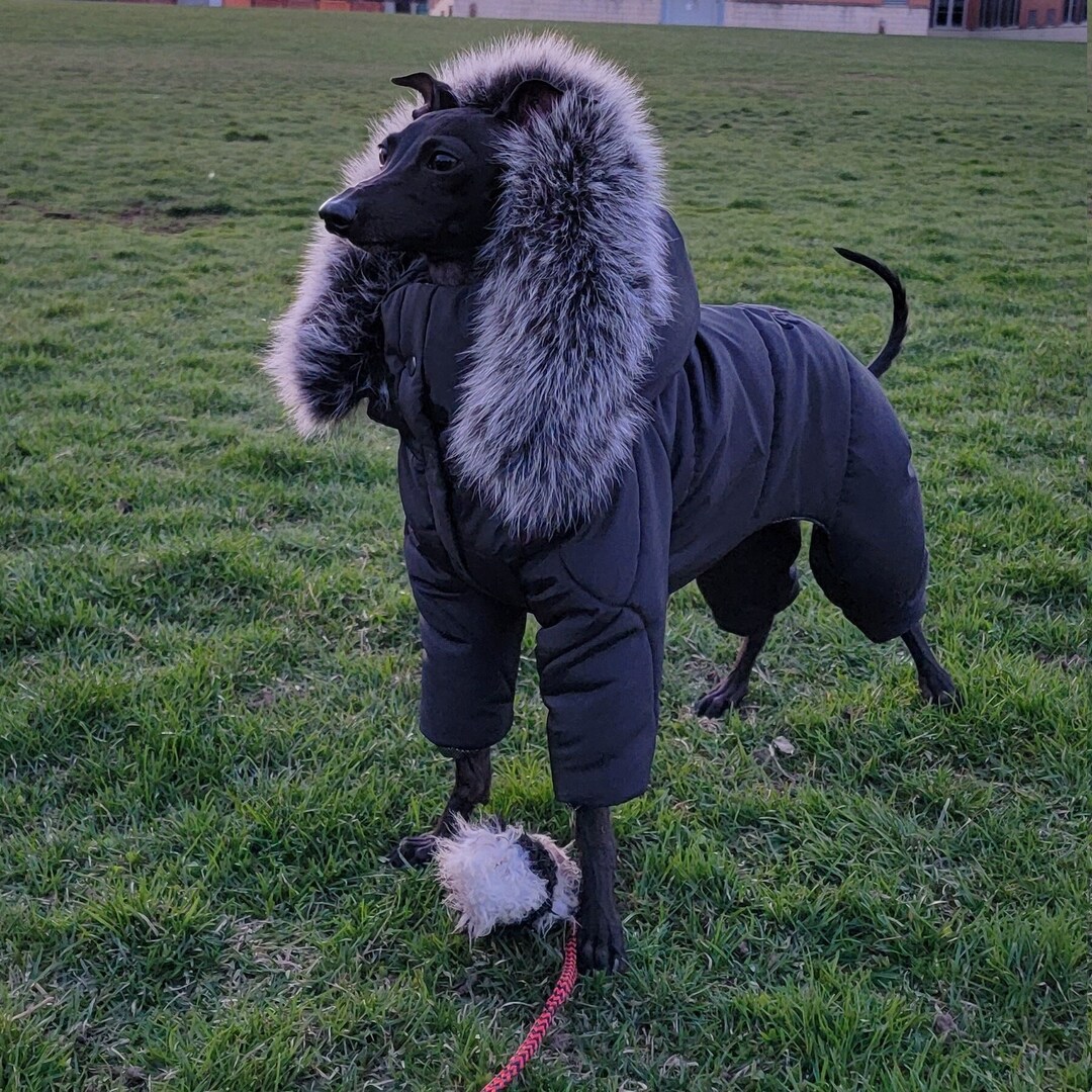 Dog Winter Clothes Overall Snowsuit Dog Full Body Suit - Etsy