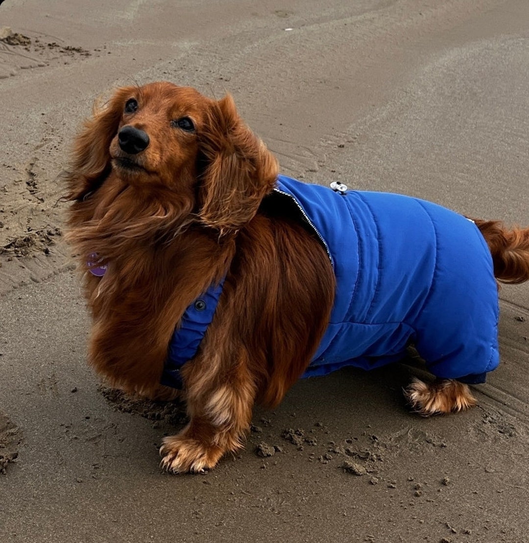 Pants for Pet With Snaps - Custom Dog Clothing - Personalized Dog ...