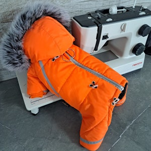 Dog Winter Clothes - Bright Overall - Snowsuit - Dog Full Body Suit ...