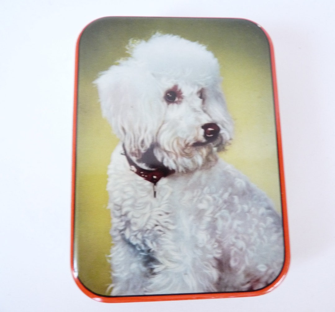Vintage Dog Toffee Tin Box Edward Sharp and Sons Ltd Candy - Etsy