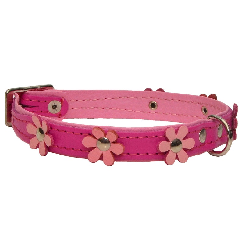 Leather Dog Puppy Collar Daisy FLOWER Decorated Colorful | Etsy