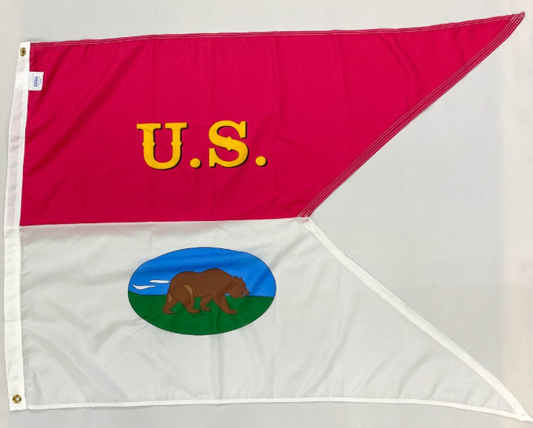 2nd Massachusetts Cavalry Historical Nylon Flag - Etsy