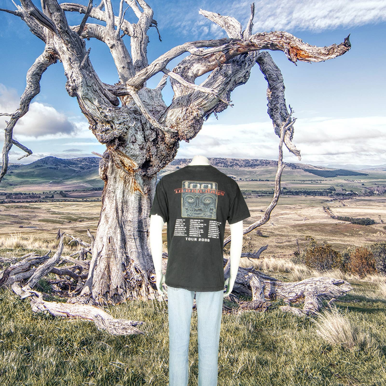 Y2k Vintage Tool 10000 Days Alex Grey Art Metal Band Concert Tour T ...