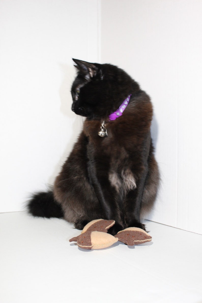 Acorn Cat Toy - Etsy