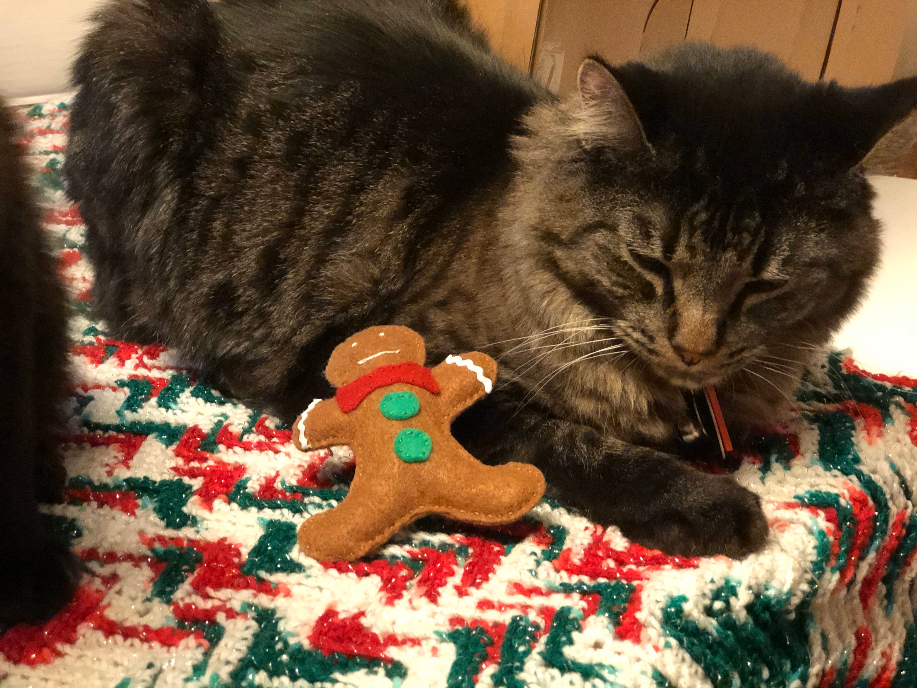 Gingerbread Man Felt Cat Toy - Etsy