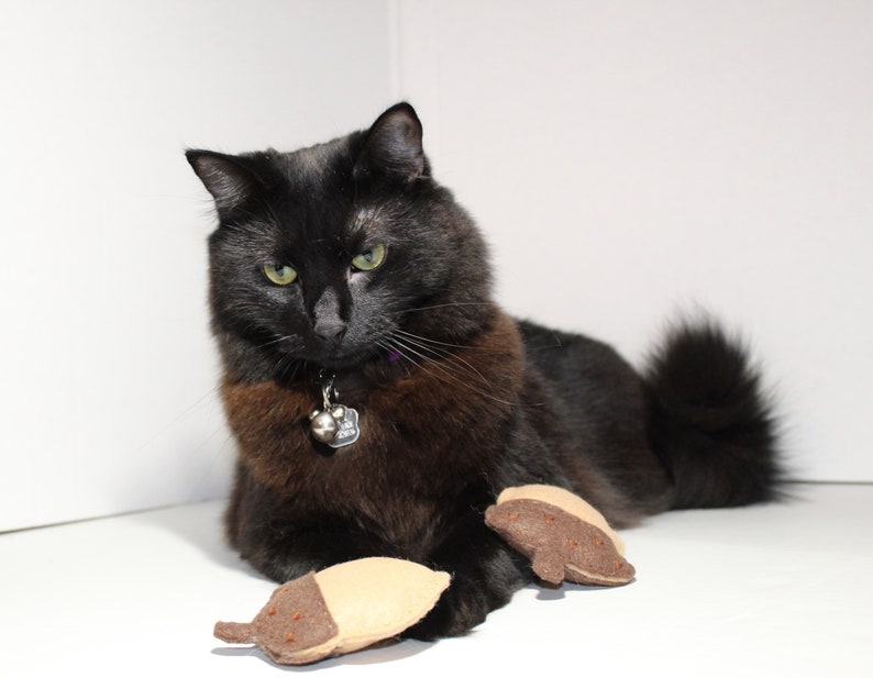 Acorn Cat Toy - Etsy