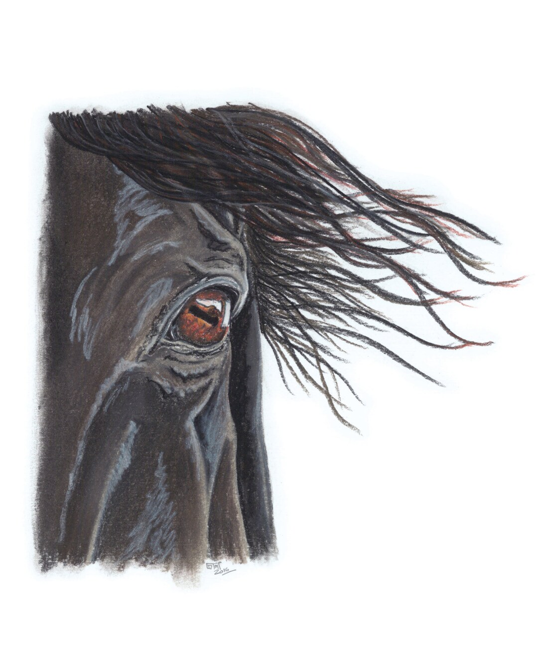 A4 Signed Horse Chalk Pastel Print - Etsy