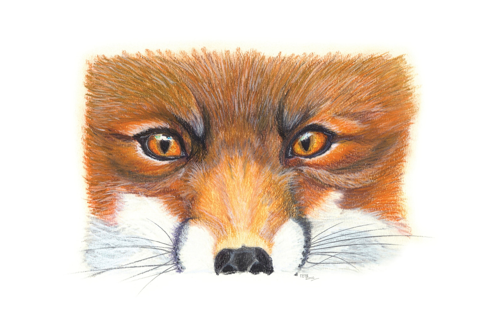 A4 Fox Signed Chalk Pastel Print - Etsy
