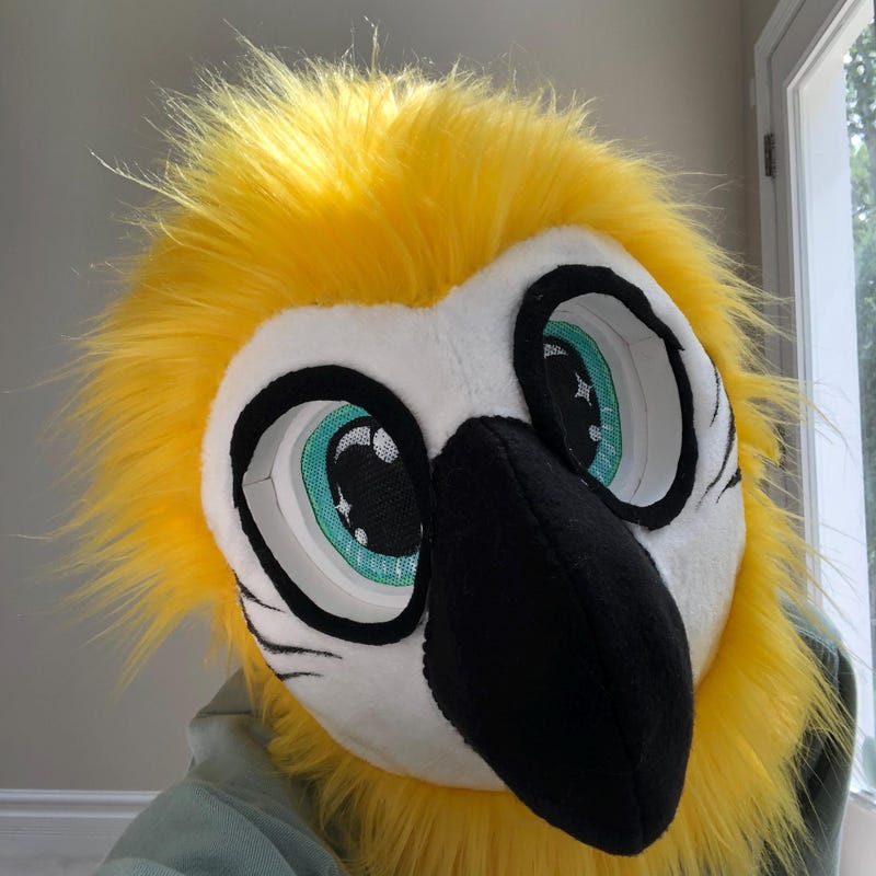 Cheap Fursuit - Etsy