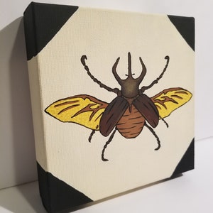 Hand Painted Acrylic Atlas Beetle Canvas Beetle Chalcosoma - Etsy