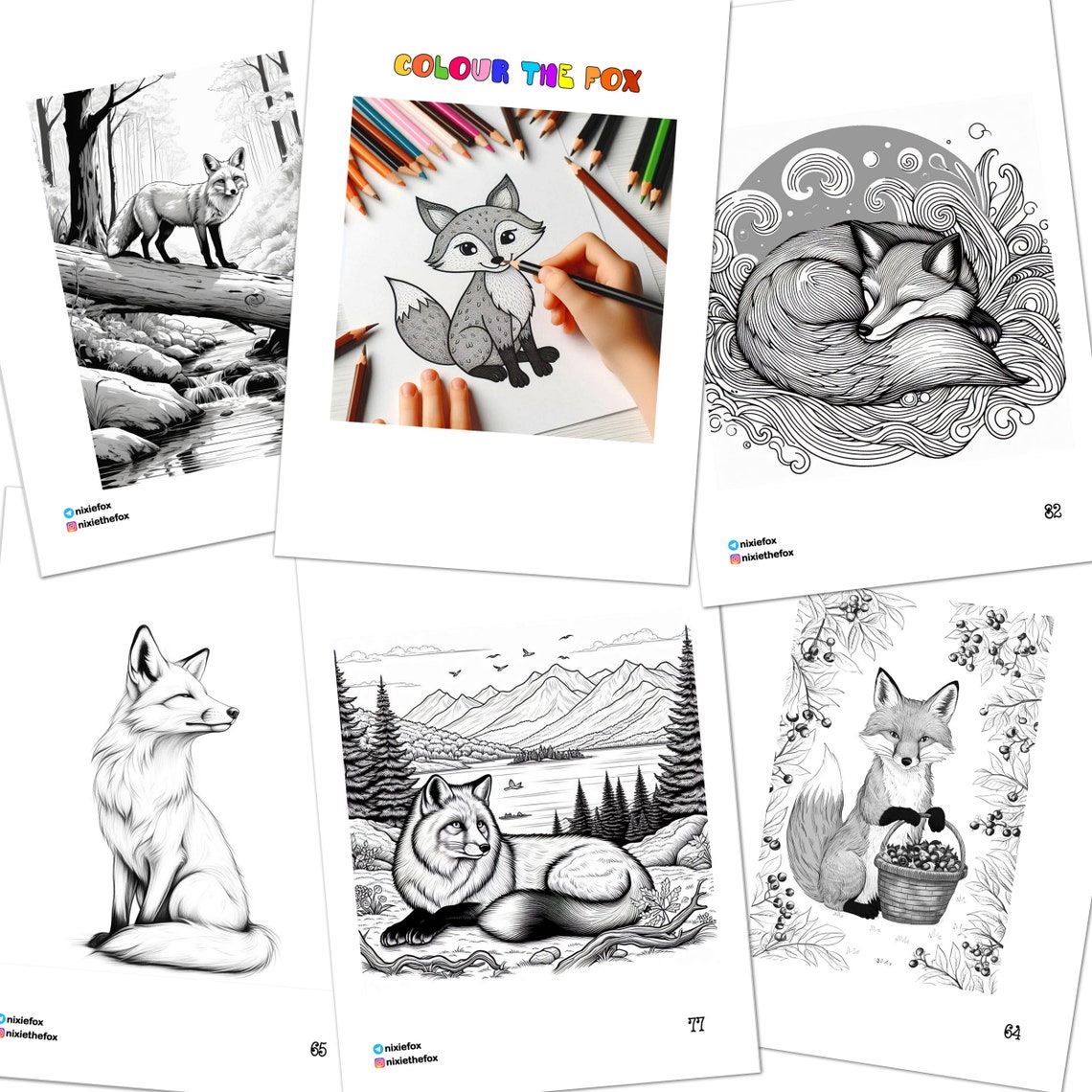 100 Fox Coloring Pages. 2024 (PDF) Digital Version - Etsy