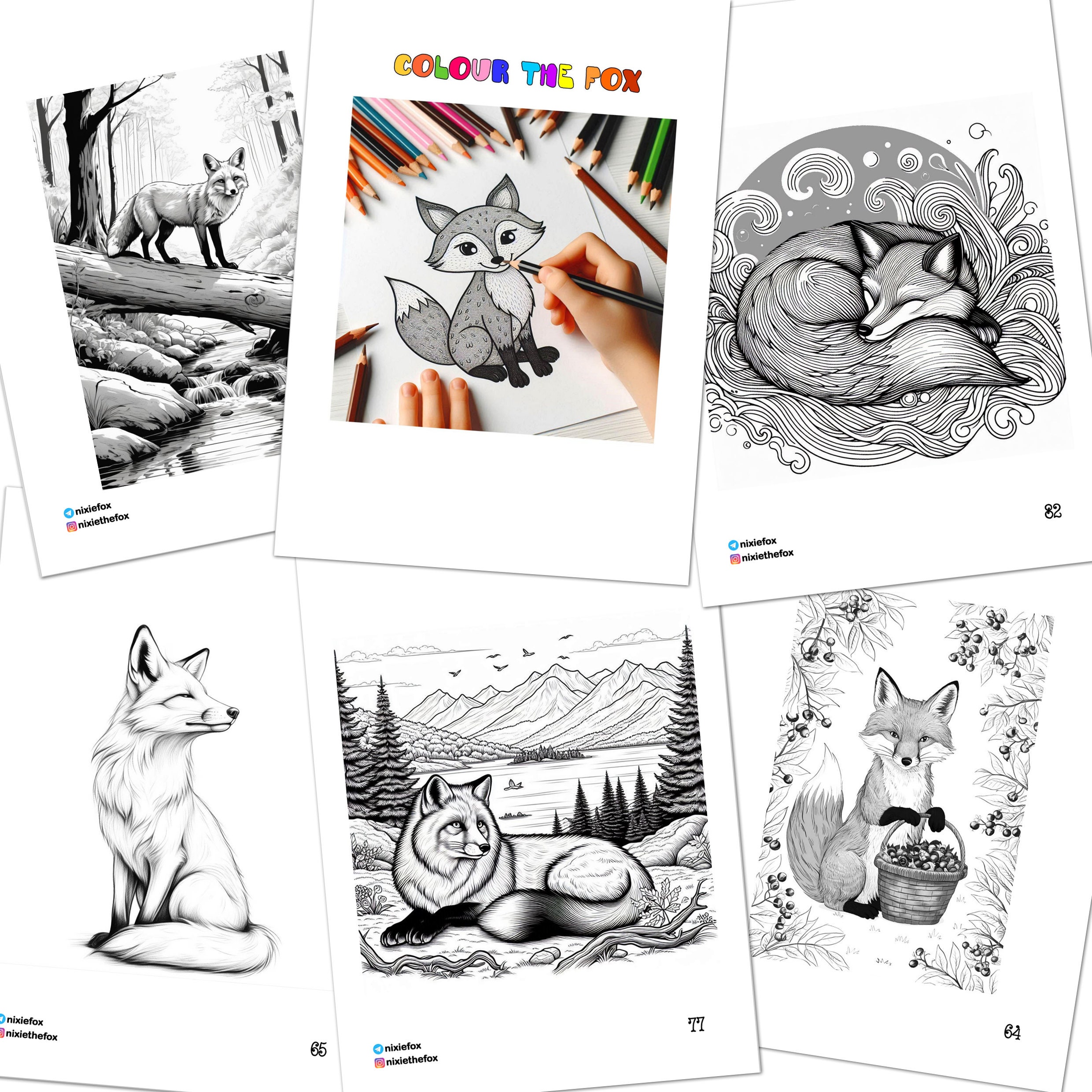 100 Fox Coloring Pages. 2024 (PDF) Digital Version - Etsy