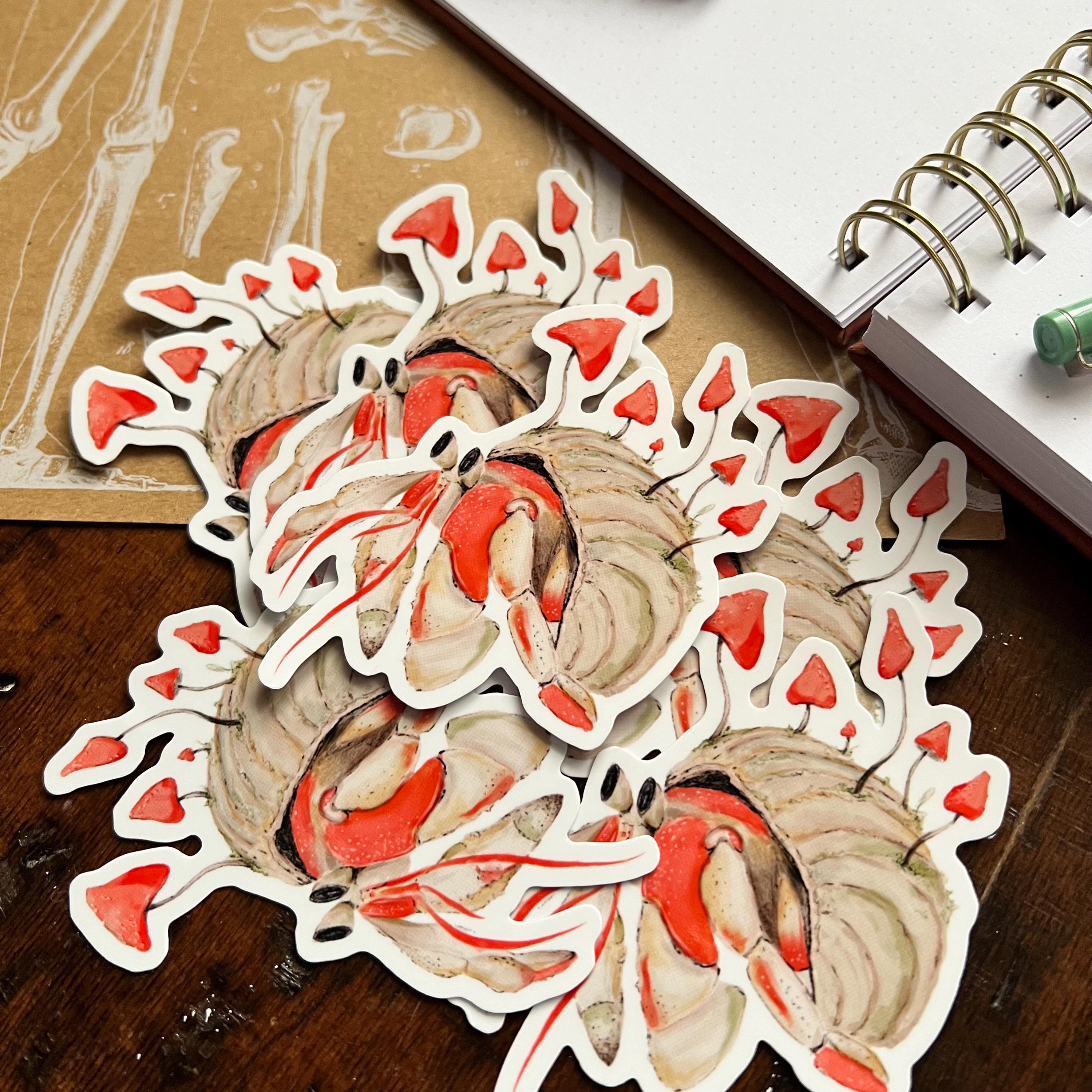 Hermit Crab Vinyl Sticker | Ocean Creatures | Mushrooms | Laptop Decal ...