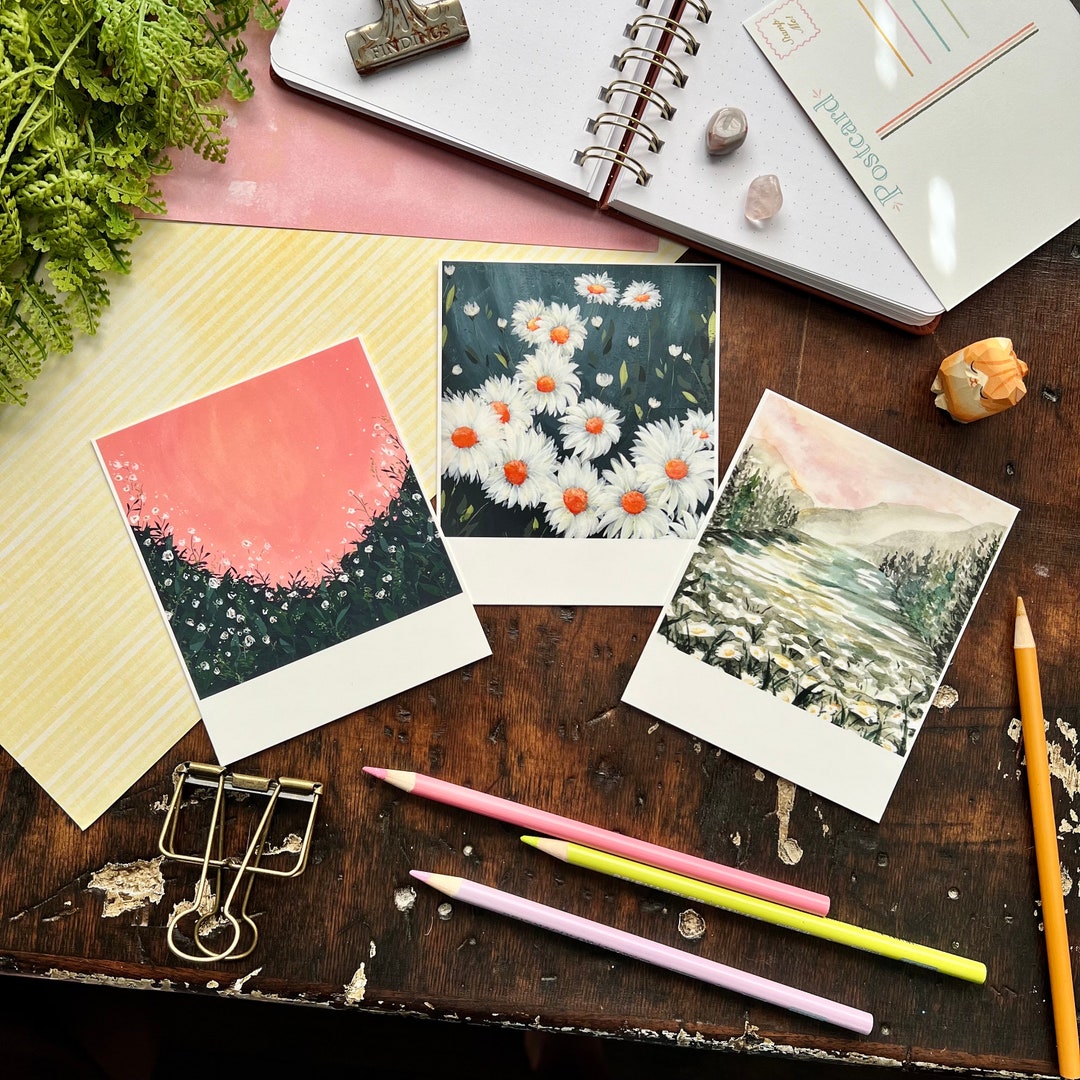 Flowers Polaroid Style Postcard Set Daisy Daisies Flower Field Postcard ...