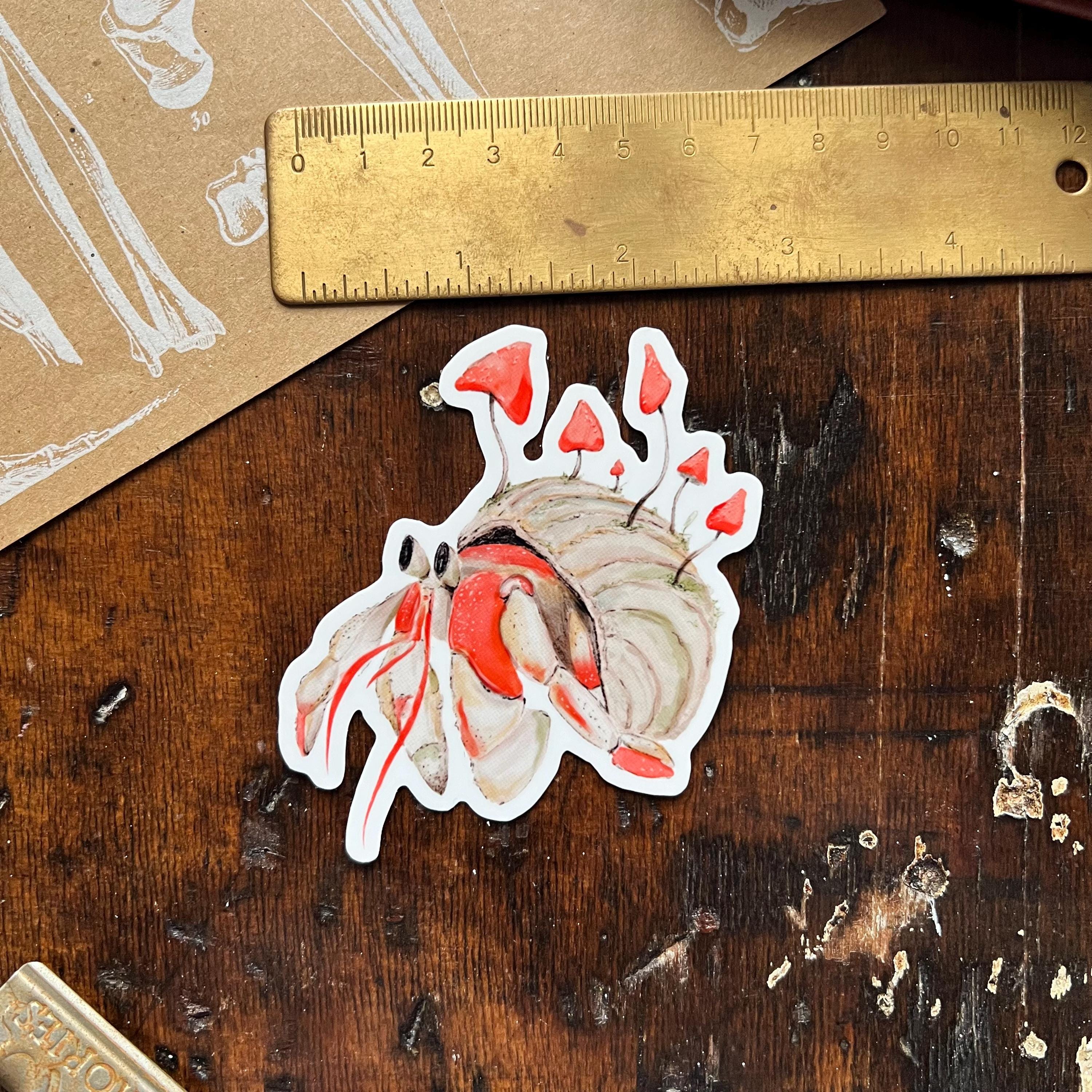 Hermit Crab Vinyl Sticker | Ocean Creatures | Mushrooms | Laptop Decal ...