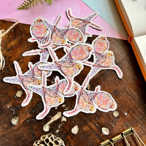 Mourning Doves Vinyl Sticker | Dove | Bird | Laptop Decal | Planner ...